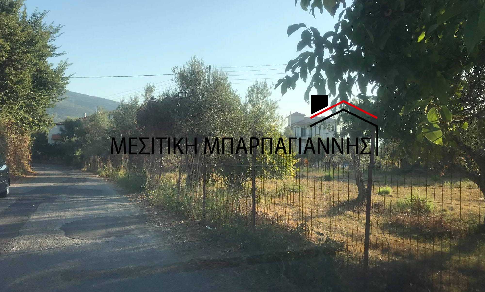 ΟΙΚΟΠΕΔΟ - 2στρέμματα- Παλαιοπαναγιά, Ναύπακτος - Μεσιτική Μπαρπαγιάννης