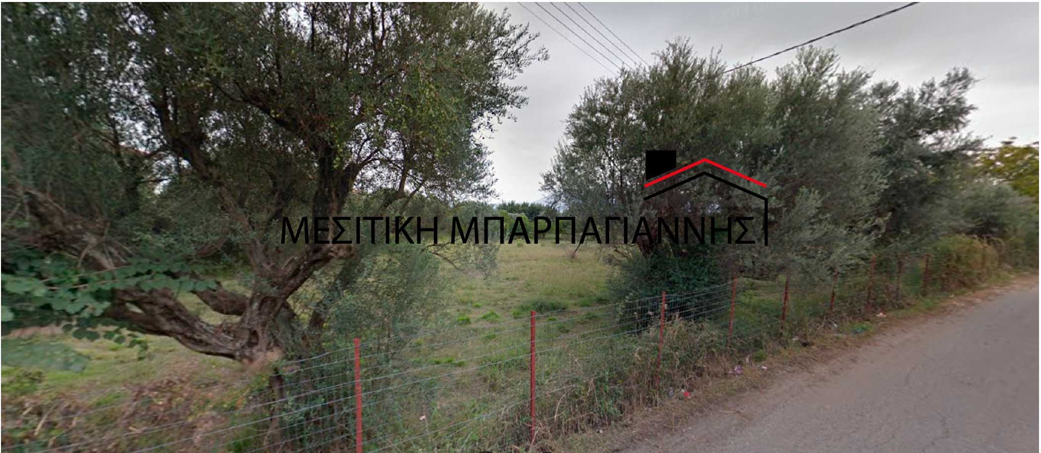 ΟΙΚΟΠΕΔΟ - 2στρέμματα- Παλαιοπαναγιά, Ναύπακτος - Μεσιτική Μπαρπαγιάννης